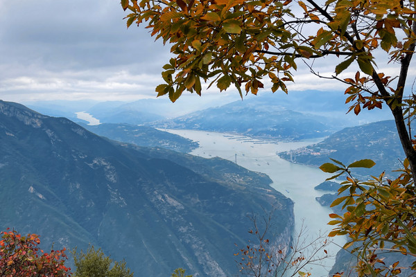 In Chongqing! Accidentally entered the fairyland sea of clouds | Trip ...