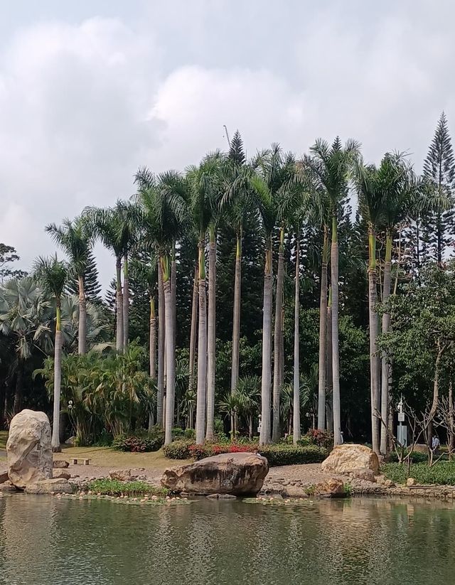 Lychee Park | Trip.com Shenzhen