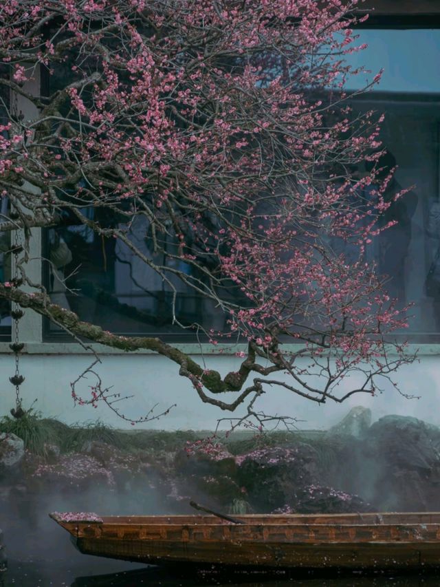 Hangzhou Spring Flower Chasing Must-See Guide | Trip.com Hangzhou