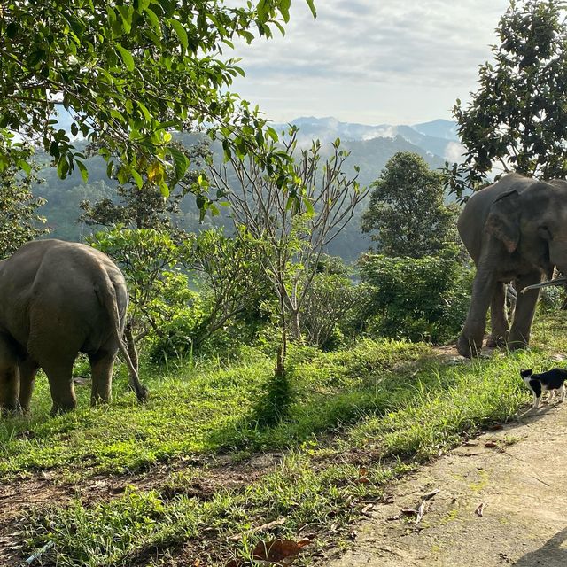 Perfect stay at Chai Lai Orchid | Trip.com