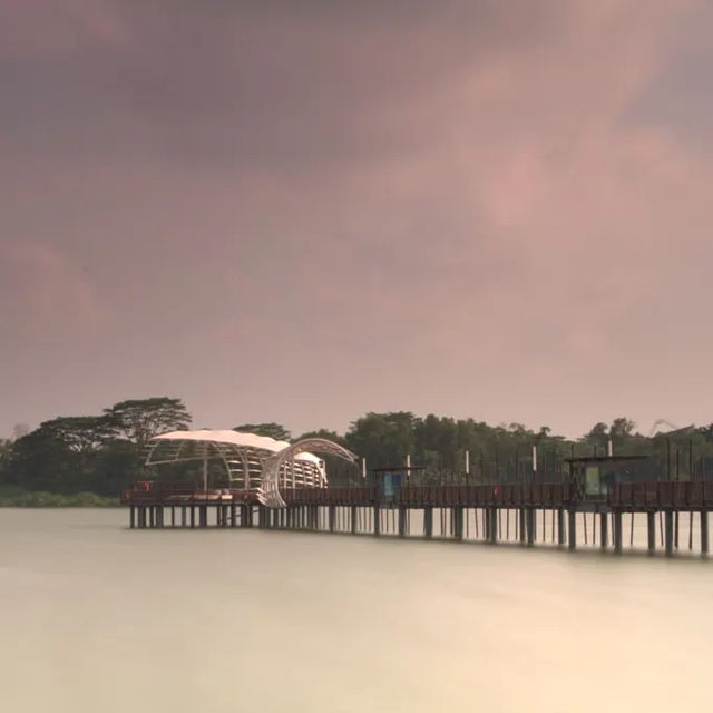 Calm Waters at Lower Seletar Reservoir Park | Trip.com Singapore