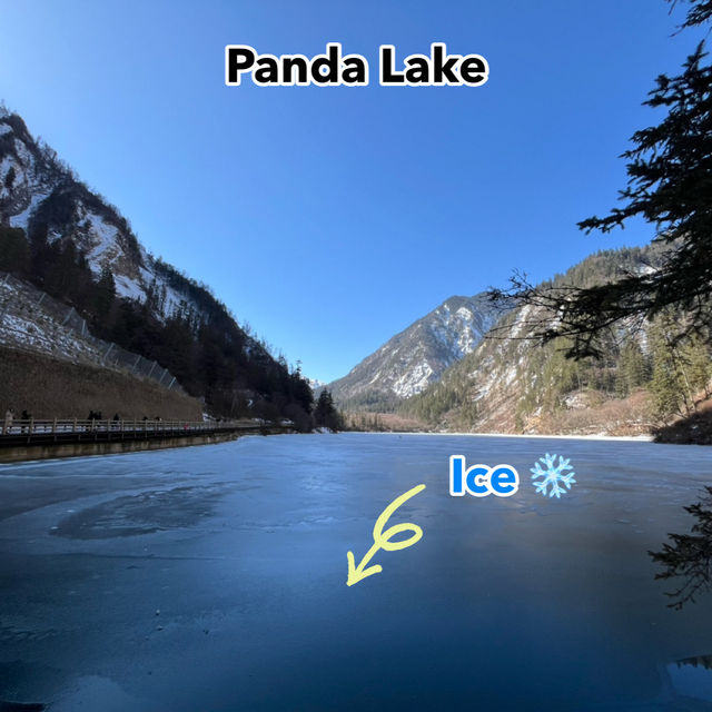 ทะเลสาบแพนด้า (Panda Lake)🐼 ที่จิ่วจ้ายโกว | Trip.com จิ่วจ้ายโกว