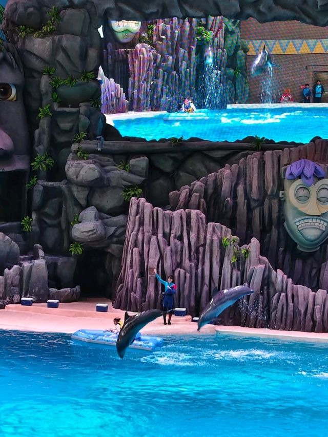 Dolphin Splash Spectacular: An Oceanic Symphony of Grace and Joy｜Trip ...