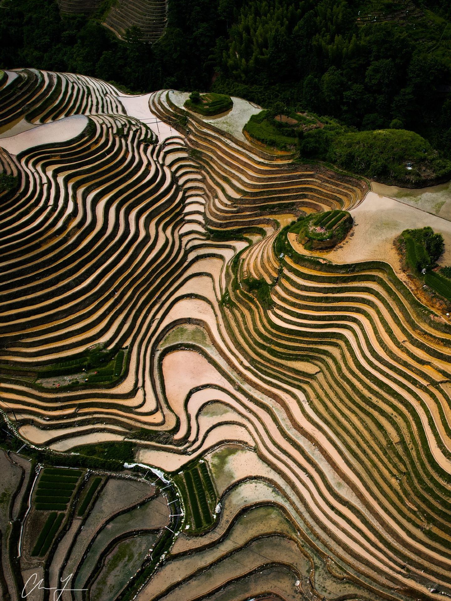 Chinese Terrace Farming
