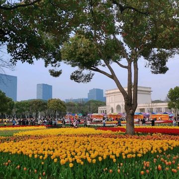 Daning Park ชมทุ่งดอกทิวลิปขนาดใหญ่ในเซี่ยงไฮ้ | Trip.com เซี่ยงไฮ้