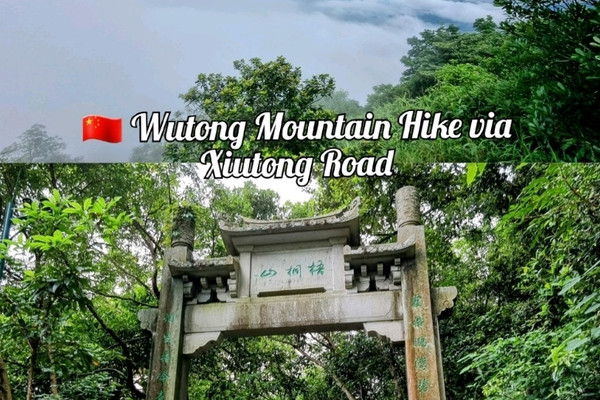 🇨🇳 Wutong Mountain Hike via Xiutong Road | Trip.com Shenzhen