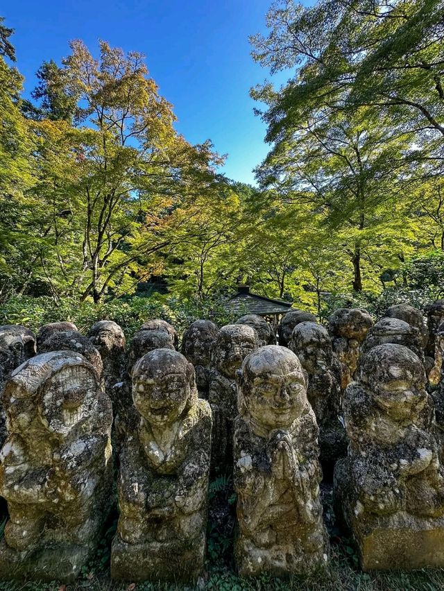 Otagi Nenbutsu-ji Temple | Trip.com Kyoto