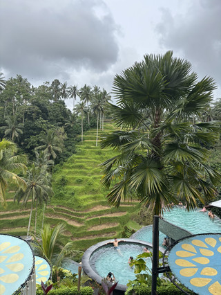 Cretya Ubud in Bali: A Playground Only for the Rich? | Trip.com Bali