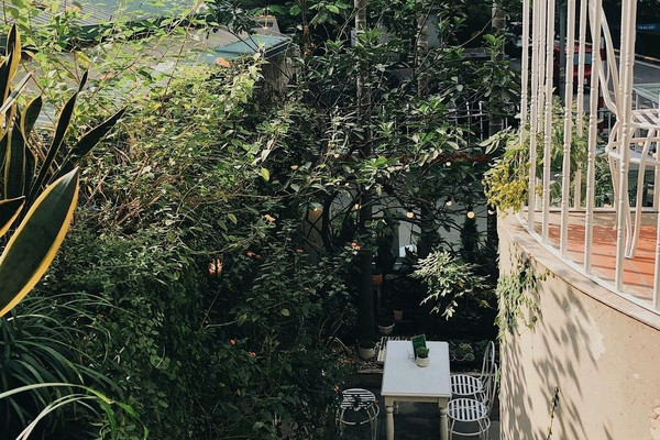 GUSTO COFFEE TREE | Trip.com Ho Chi Minh City