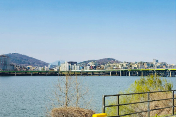A Review of Jamwon Hangang Park | Trip.com Seoul