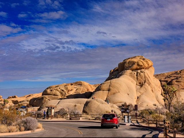 national park | Trip.com Joshua Tree National Park