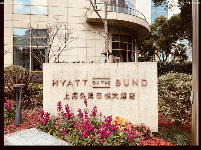 Shanghai Modern Glow🌞 | Trip.com Shanghai