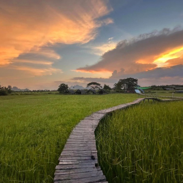 Things to Do in Phatthalung Province in 2025 - Top Attractions, Local ...