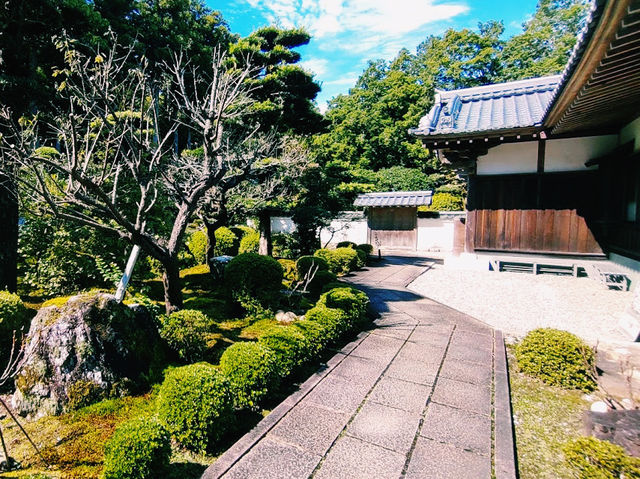 Tosa Kokubunji Temple | Trip.com Kochi