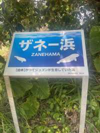 Zanee beach Okinawa | Trip.com Kunigami District