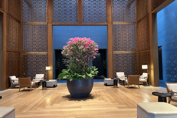 The best Aman hotel in Shanghai | Trip.com Shanghai