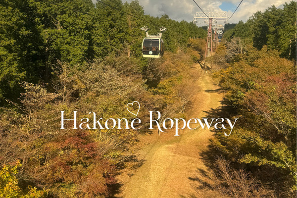 Ride Hakone Ropeway 4THE Best Scenic View | Trip.com Hakone