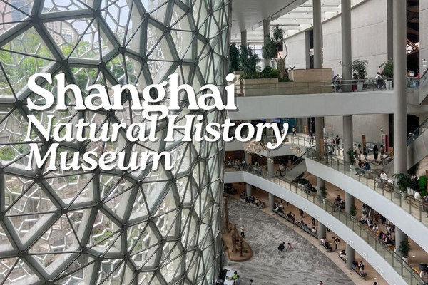 🦕🐻🦌 Shanghai Natural History Museum | Trip.com เซี่ยงไฮ้
