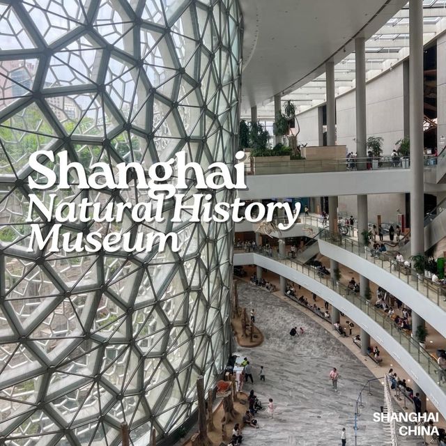 🦕🐻🦌 Shanghai Natural History Museum | Trip.com เซี่ยงไฮ้