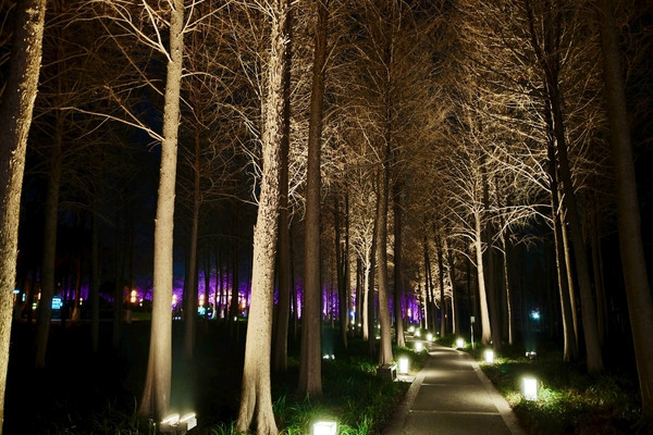Night Stroll by the Lake at Shanghai Gucun Park 🌙🌊🌸 | Trip.com Shanghai