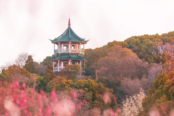 Wuxi Meiyuan | Without entering the Meiyuan, how would one know the ...