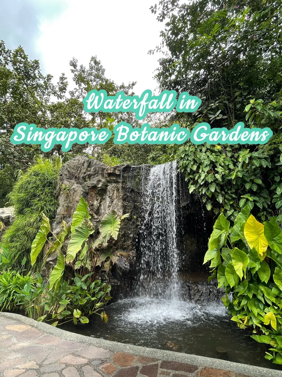 Singapore Botanic Gardens Waterfall | Fasci Garden