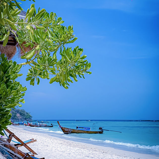 Ark Bar Beach Club, Thailand, Samui Island | Trip.com Koh Samui