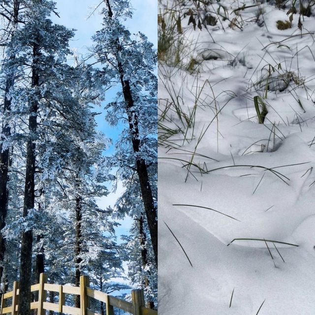 If you want to see snow in winter in Chengdu, come to Xiling Snow ...