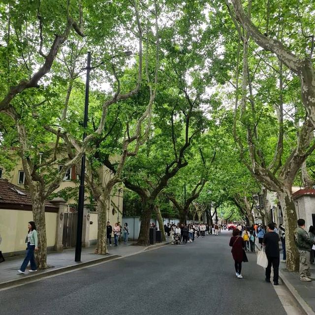 Anfu Road, Shanghai | Trip.com เซี่ยงไฮ้
