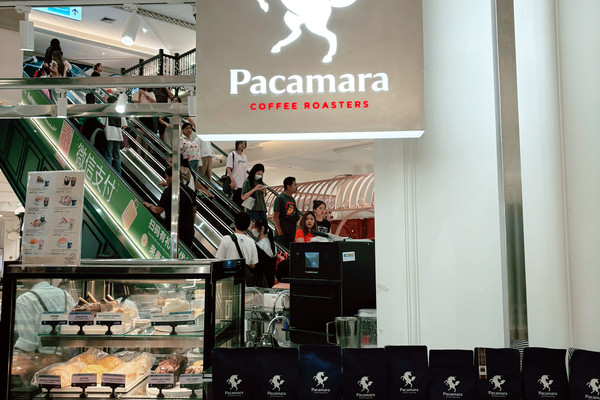 Pacamara Coffee Roasters | Trip.com กรุงเทพฯ