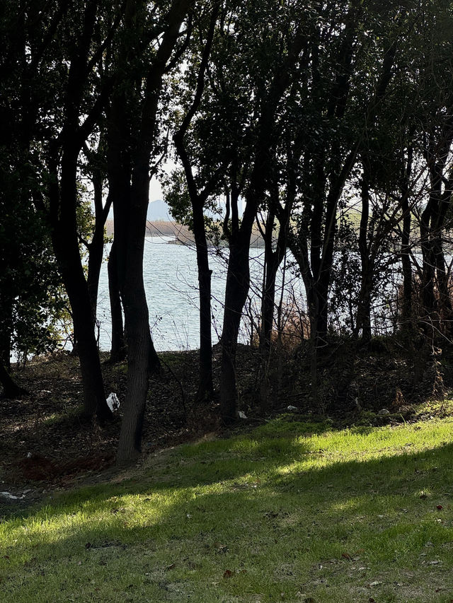 Next to Soochow University Yangcheng Lake Campus | Yangcheng Lake Niche ...