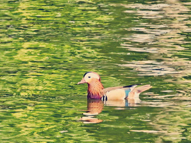 A "King-Level" Dialogue Between Three World Heritage Sites: West Lake ...