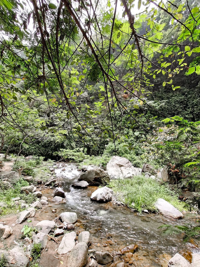Discovering the Hidden Gem of Kedung Kayang Waterfall | Trip.com Selo