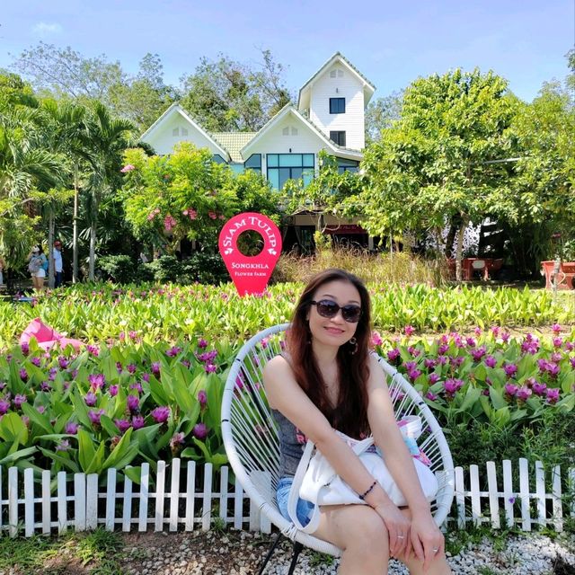 Songkhla Flower Farm | Trip.com Songkhla City