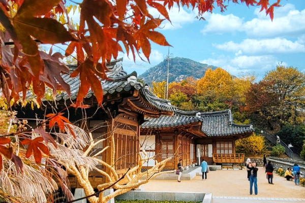 Cheongun Literature Library: A Hidden Gem in Seoul 📚🇰🇷 | Trip.com Seoul