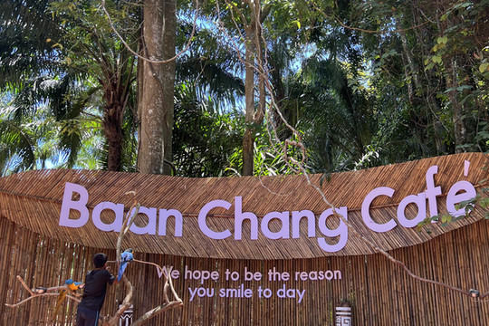 Baan Chang Cafe’ at Krabi🐘☕️🌿🌴🌴 | Trip.com กระบี่