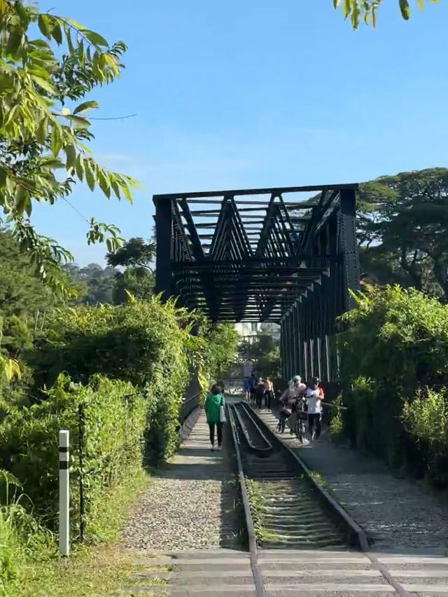 Bukit Timah Summit: Conquering Singapore’s Highest Peak | Trip.com ...