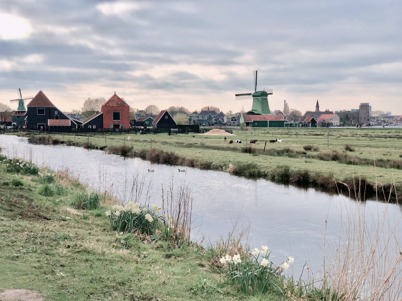 Zaandam Travel Guide 2023 - Things to Do, What To Eat & Tips | Trip.com