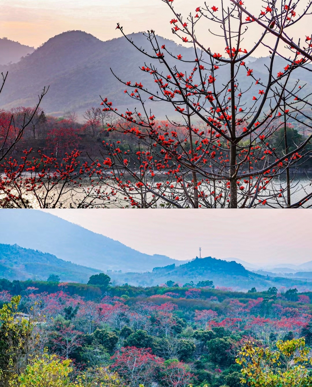 Things to Do in Changjiang in 2025 - Top Attractions, Local Food ...