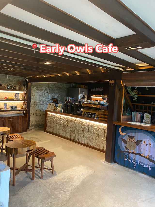 🇹🇭 Early Owl Café in Chiang Mai💫💫 | Trip.com Chiang Mai