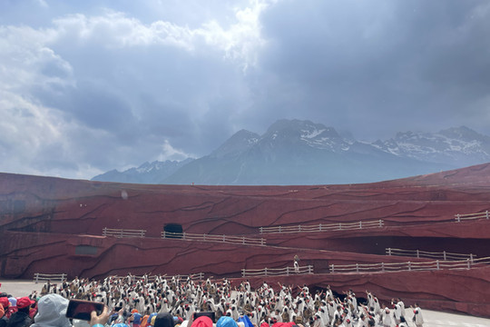 Impressive and exciting performance with the backdrop of Yulong snow ...