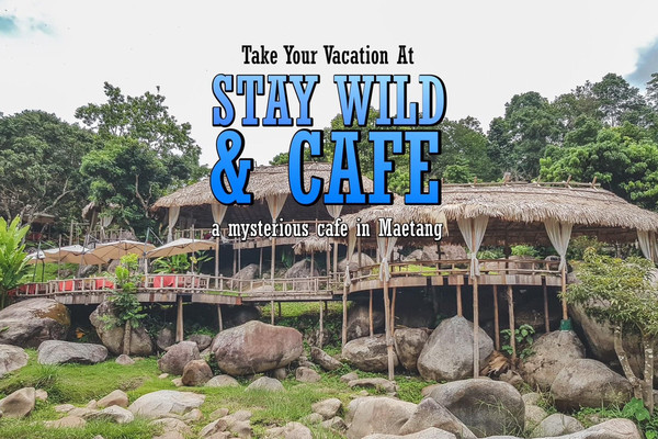 หลบความวุ่นวายมาผ่อนคลายที่ Stay Wild & Cafe 🕊️🌳 | Trip.com อำเภอ แม่แตง
