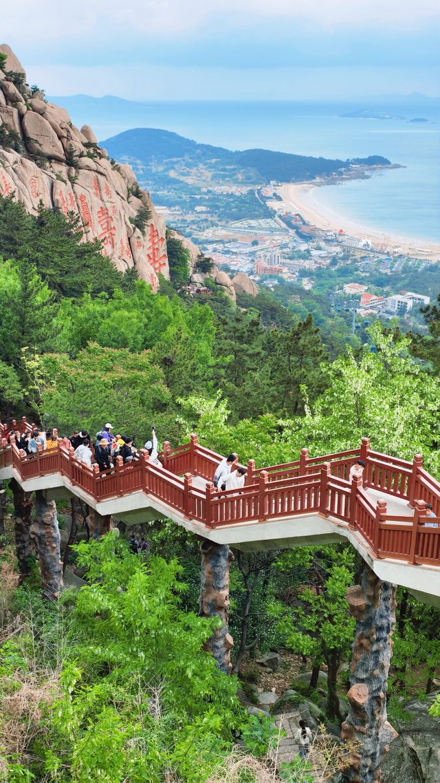 Laoshan One-Day Tour Nanny-Level Guide: Yangkou + Taiqing Stunning ...