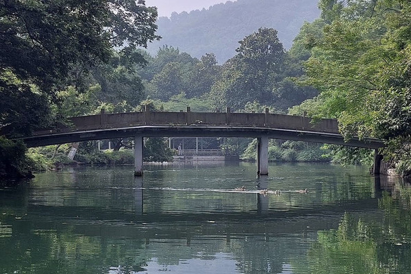 Seasonal Beauty and Natural Exploration | Trip.com Hangzhou