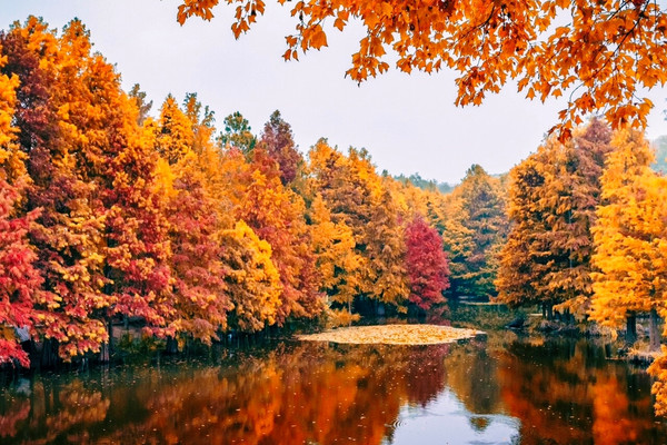 Nanjing Yanzi Lake | Trip.com Nanjing