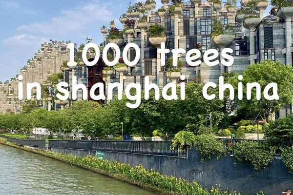 Tian An 1000 Trees in Shanghai China | Trip.com Shanghai