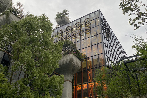 1000 Trees: A Green Oasis in the Heart of Shanghai | Trip.com Shanghai
