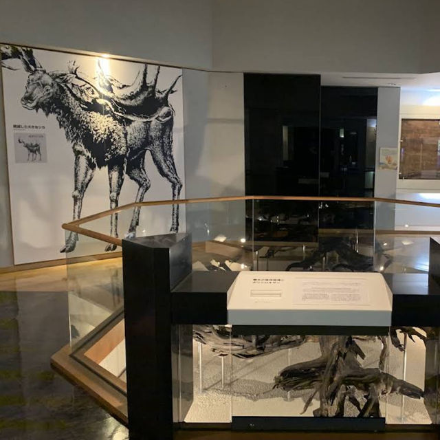 Sendai City Tomizawa Site Museum – Unearthing a 20,000-Year-Old Forest ...