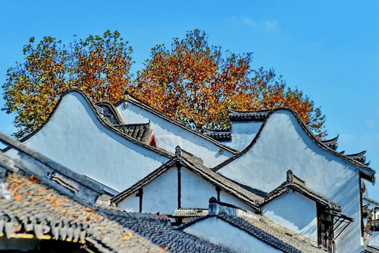 The unknown beauty of Suide Park in Jiading, Shanghai, hidden in the ...