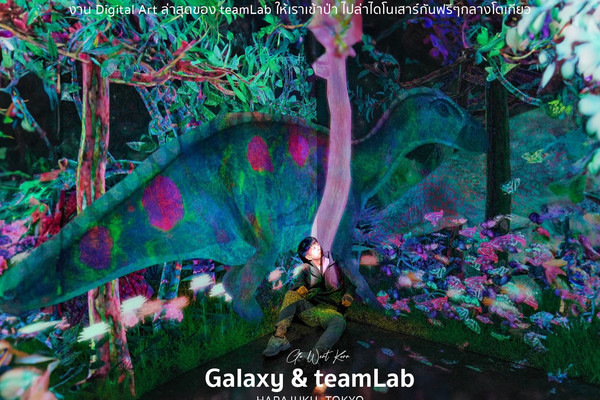 Galaxy & teamLab ….งาน Digital Art ล่าสุดจาก team | Trip.com โตเกียว